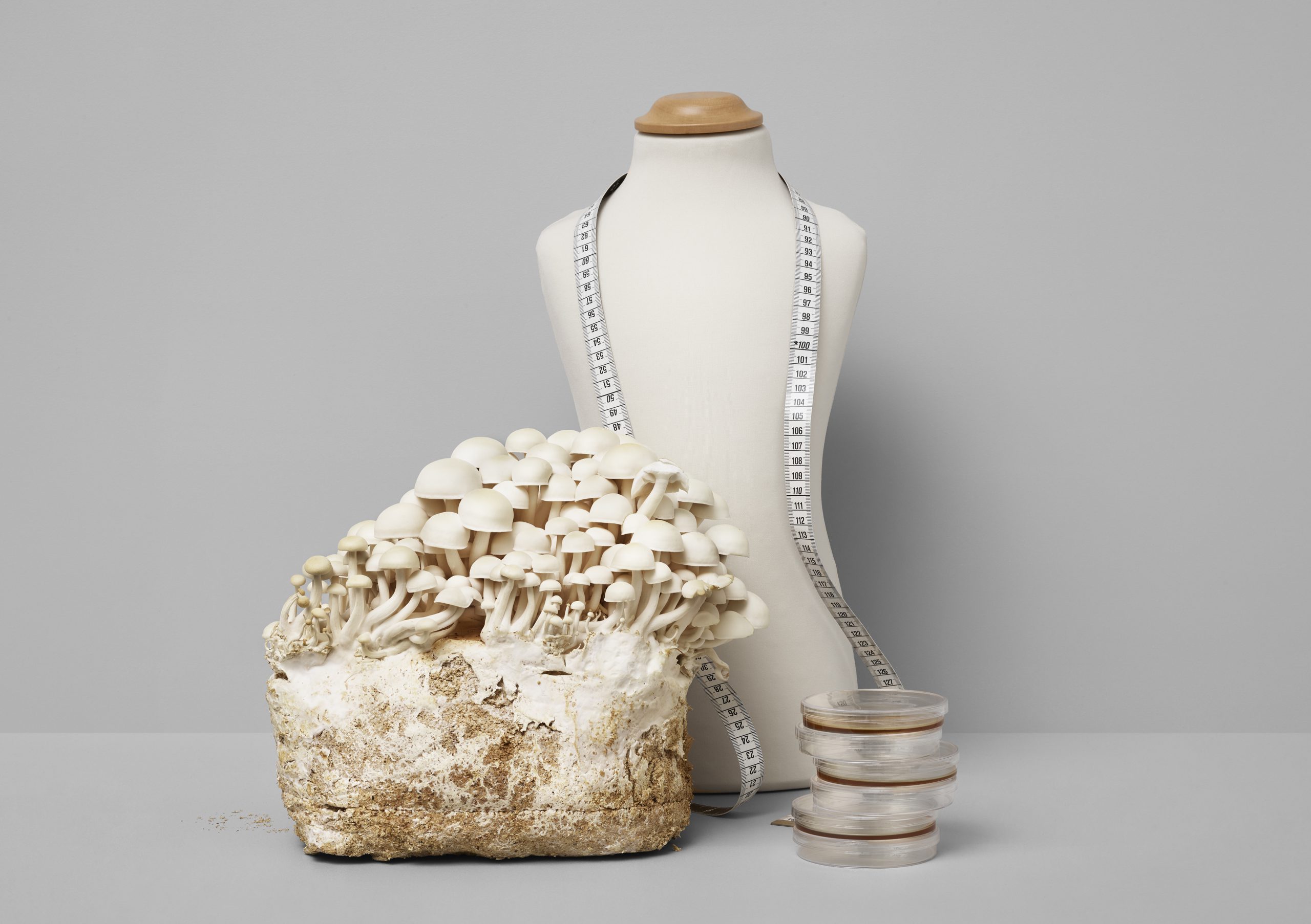 Key Conversations: Seamless Production with Mushroom Mycelium - Munique ...