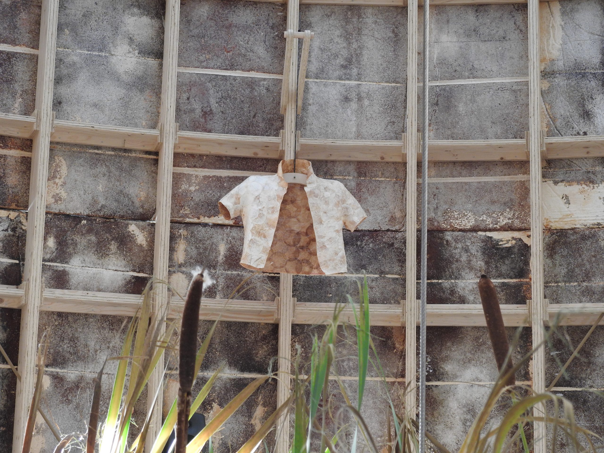 Key Conversations: Seamless Production with Mushroom Mycelium - Munique ...