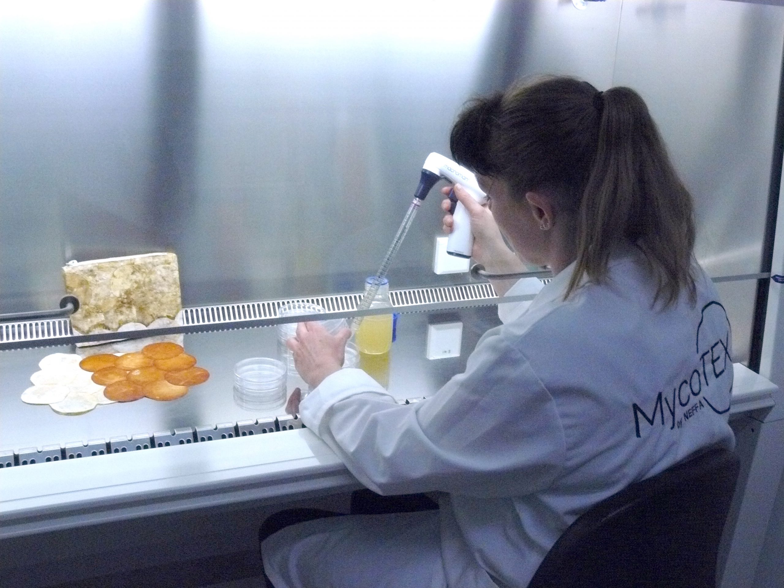 Key Conversations: Seamless Production with Mushroom Mycelium - Munique ...