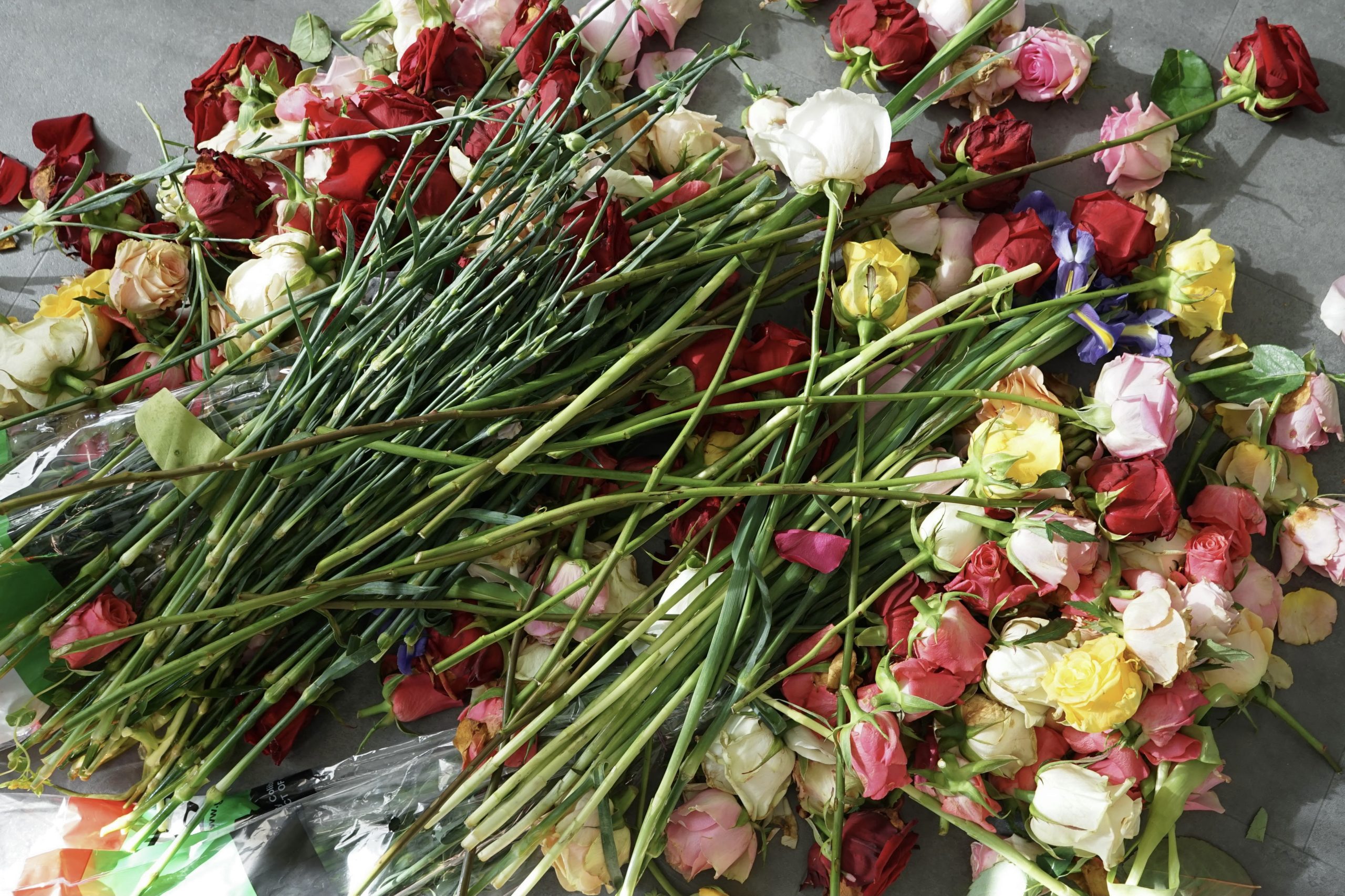 Sustainable Innovations #2: Flower Matter - Munique - Unique Textiles ...